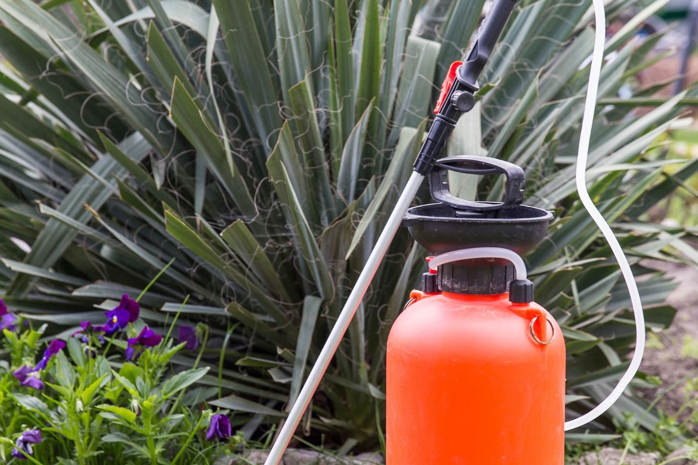 J's Pest Solutions - Apopka, FL