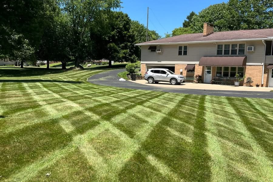 Lawn Care Jacksonville Westside Affordable Mow Management