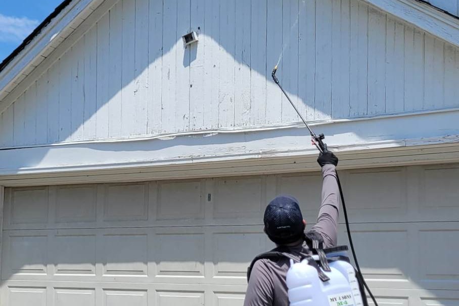 ProKill Pest Solutions - Bridgeton, NJ